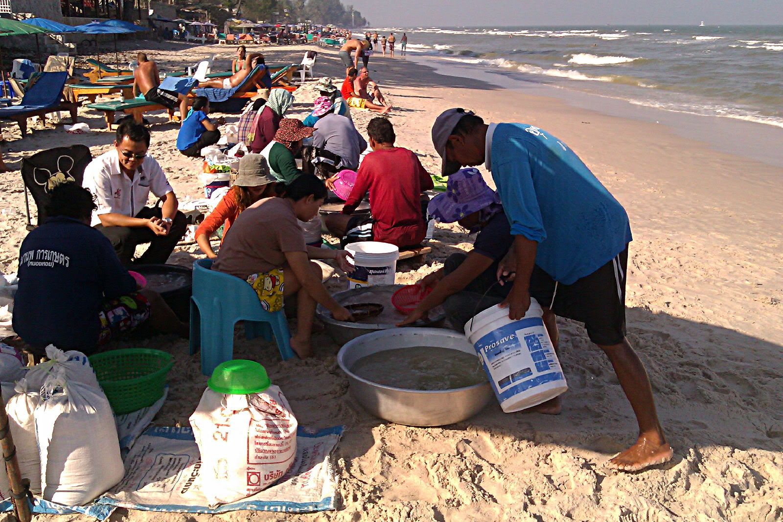 Krill Fisherman on the Beach | Four Letter Nerd