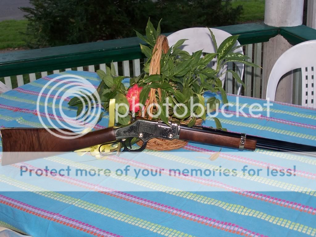 Henry Stocks | Rimfire Central Firearm Forum